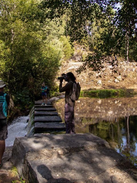 Ponte de Lima: treasures from the oldest village of PT - Authentic Insights from Reviewers