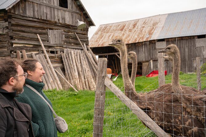 Pontiac Farm Tour - Day Trip From Ottawa & Gatineau - Introduction