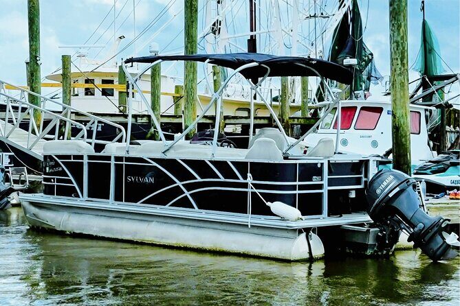Pontoon Boat Rental Tybee Island - The Price: Is It Worth It?