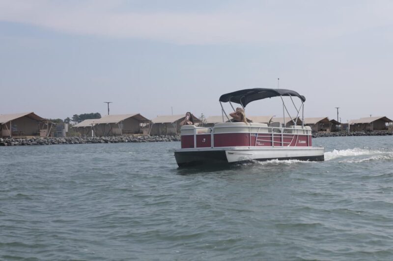 Pontoon Boat Rentals in Chincoteague Island, VA - Exploring the Chincoteague Water Experience: What You Can Expect