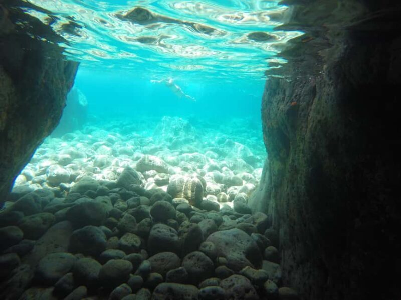 Ponza: Palmarola & Ponza Island Cruise with Swimming & Lunch - The Bottom Line: Who Should Consider This Tour?