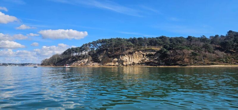 Poole Harbor: 2, 3, 4, 6, or 8-Hour Boat Rental Service - Key Points