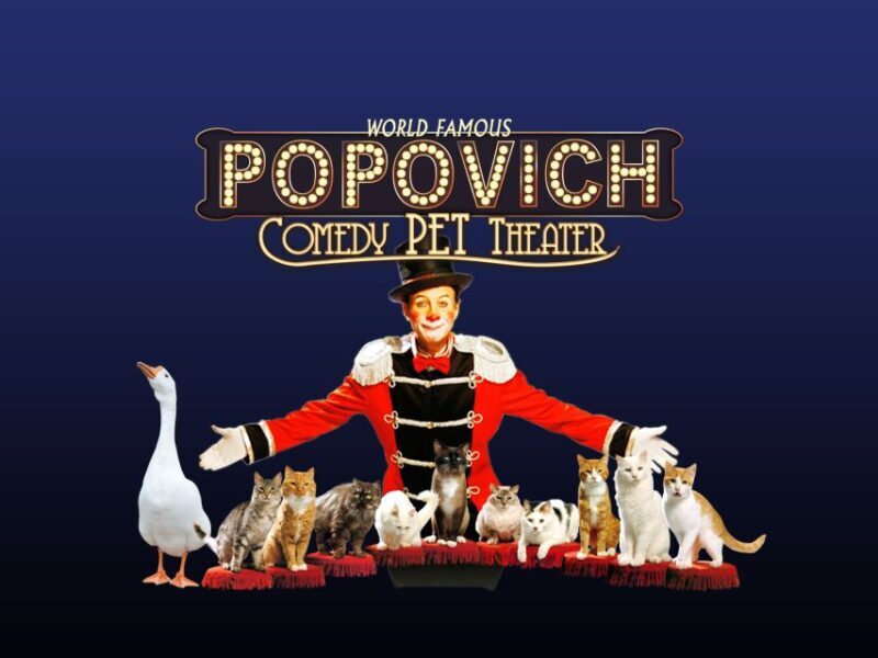 Popovich Comedy Pet Theater in Las Vegas - The Show’s Highlights and Unique Features