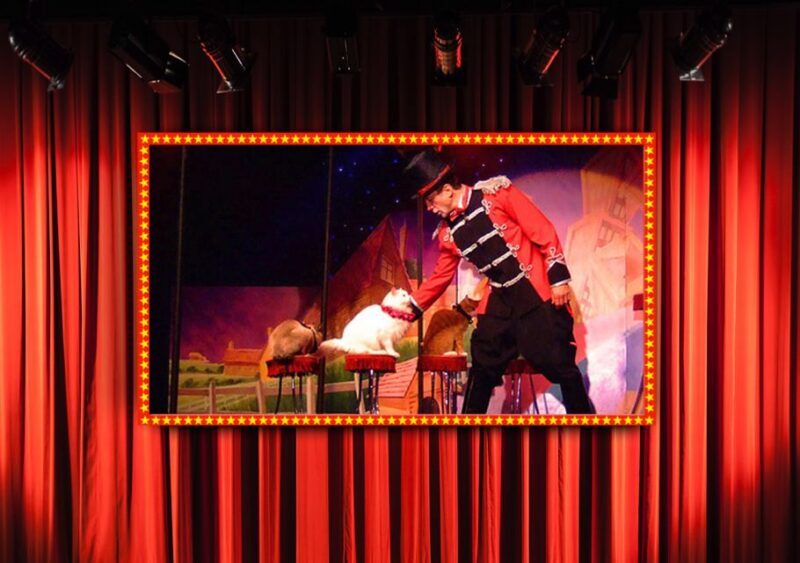 Popovich Comedy Pet Theater in Las Vegas - Who Should Consider This Experience