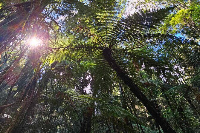 *Popular Tour* - Bay of Islands: Nature Adventure - 4hrs - Starting Point and Transportation