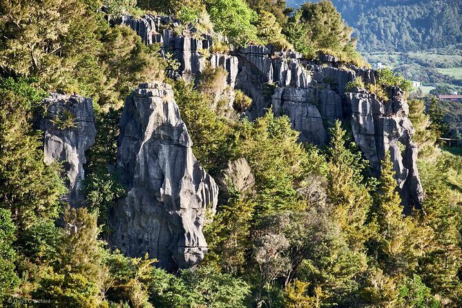 *Popular Tour* - Bay of Islands: Nature Adventure - 4hrs - Haruru Waterfalls: Nature’s Roaring Display