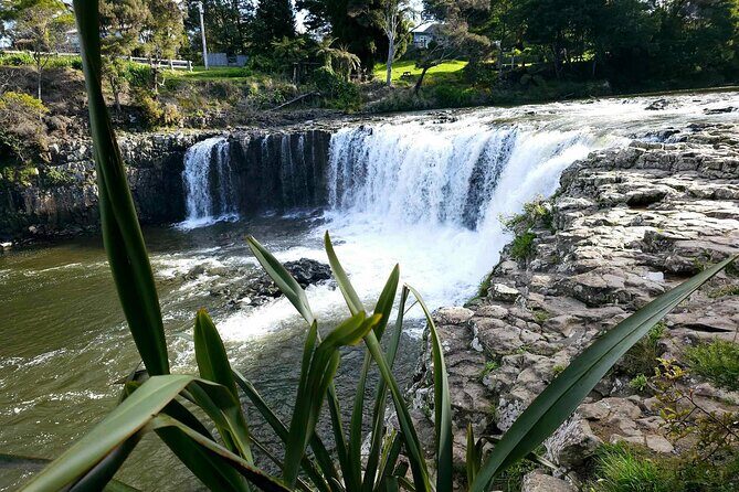 *Popular Tour* - Bay of Islands: Nature Adventure - 4hrs - Waitangi Lookout: Panoramic Views of the Bay