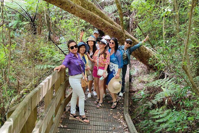 *Popular Tour* - Bay of Islands: Nature Adventure - 4hrs - Wrapping Up: End in Paihia