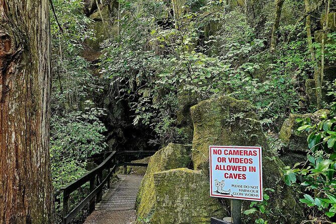 *Popular Tour* - Bay of Islands: Nature Adventure - 4hrs - Analyzing the Price and Value