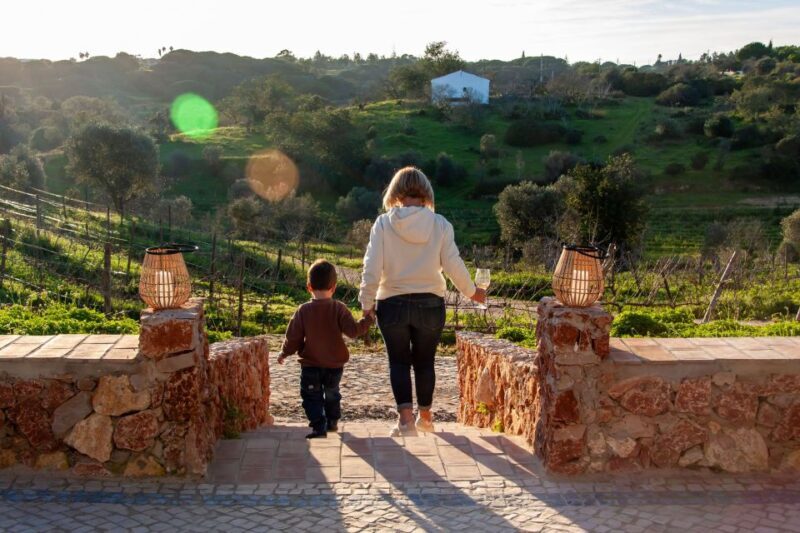 Porches: Algarve Vineyard Tour and Wine Tasting Experience - Who Is This Tour Best For?
