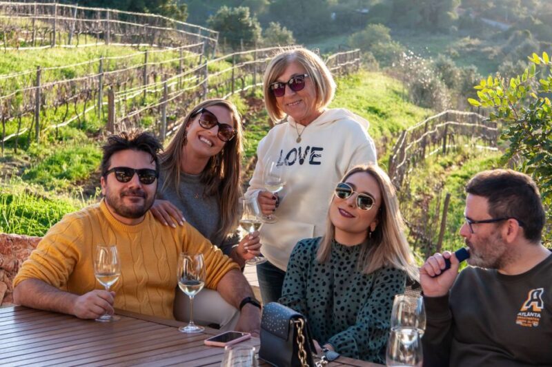 Porches: Algarve Vineyard Tour and Wine Tasting Experience - Final Thoughts