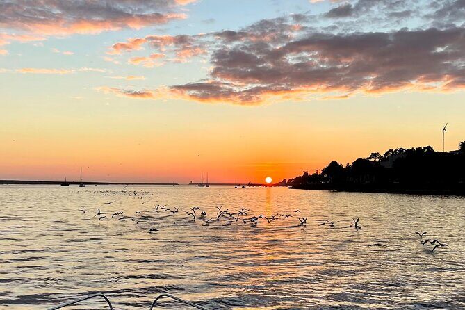 Port : 6 Bridges Cruise With Sunset option & Port wine - What travelers say: authentic insights from reviews