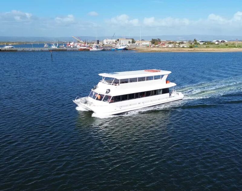 Port Adelaide: Dolphin and Maritime Cruise - Exploring the Port Adelaide: Dolphin and Maritime Cruise – A Detailed Review