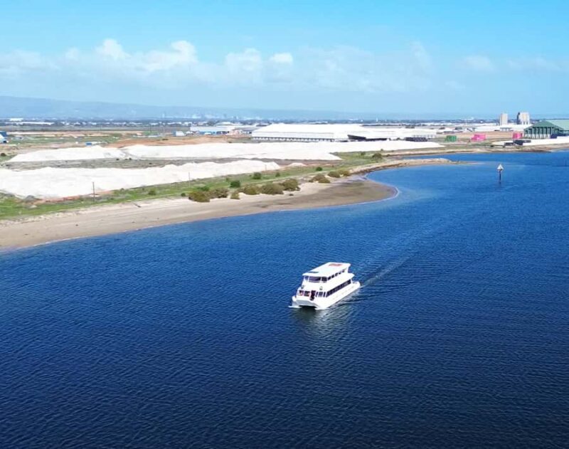 Port Adelaide: Dolphin and Maritime Cruise - Final Verdict