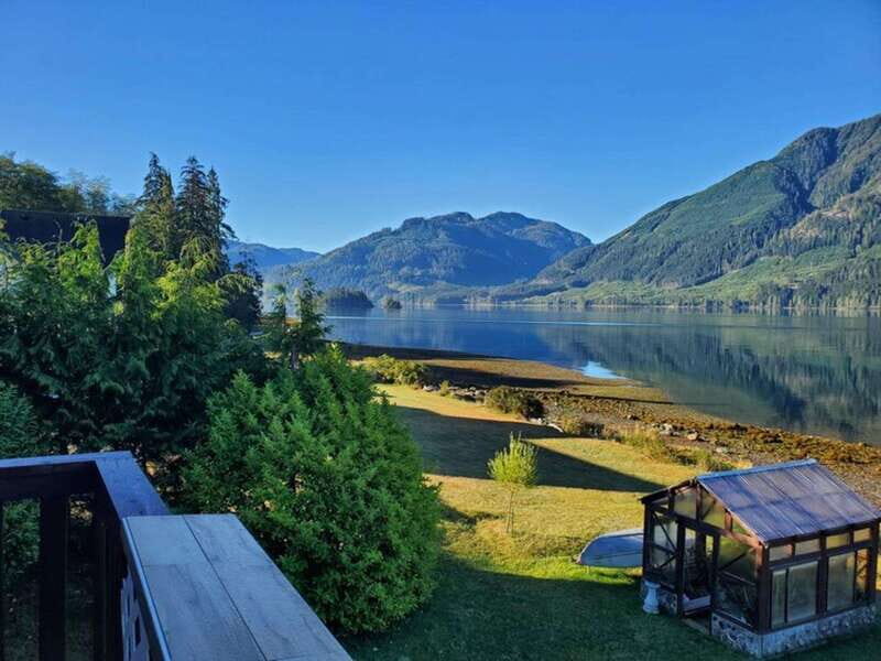 Port Alice: Sea Otter and Wildlife Watching Boat Tour - Key Points  