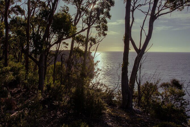 Port Arthur, Richmond and Tassie Devils Active Tour from Hobart - Final Thoughts: Is It Worth It?