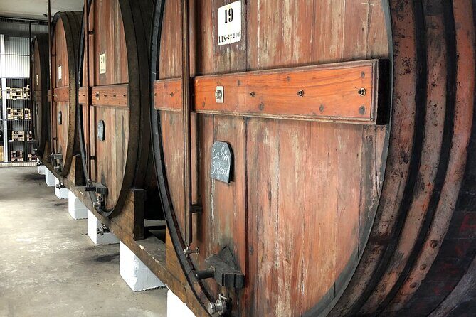 Port Cellar Visit & Tasting 4 Port Wines - Who Will Love This Experience?