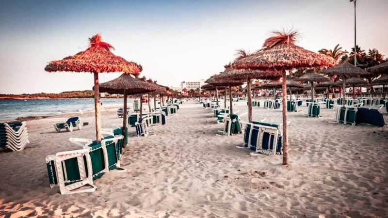 Port d'Alcudia: Meet the Magical Creatures,family game &walk - Exploring Port d’Alcudia’s Magical Creatures Walk: What’s in Store?