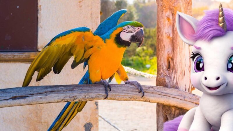 Port d'Alcudia: Meet the Magical Creatures,family game &walk - The Sum Up: Is It Worth It?
