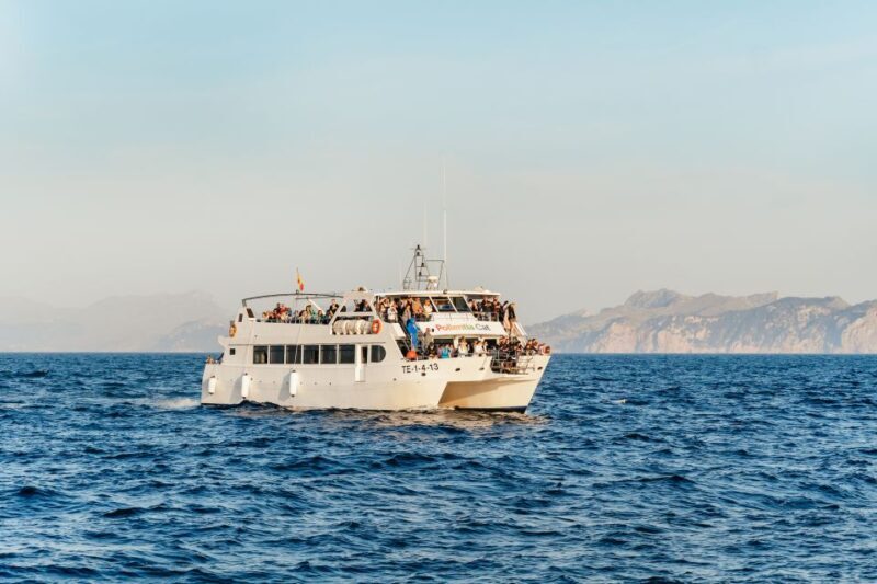 Port d'Alcudia: Sunrise at Sea & Dolphin Watching Boat Tour - Practical Tips for Your Trip