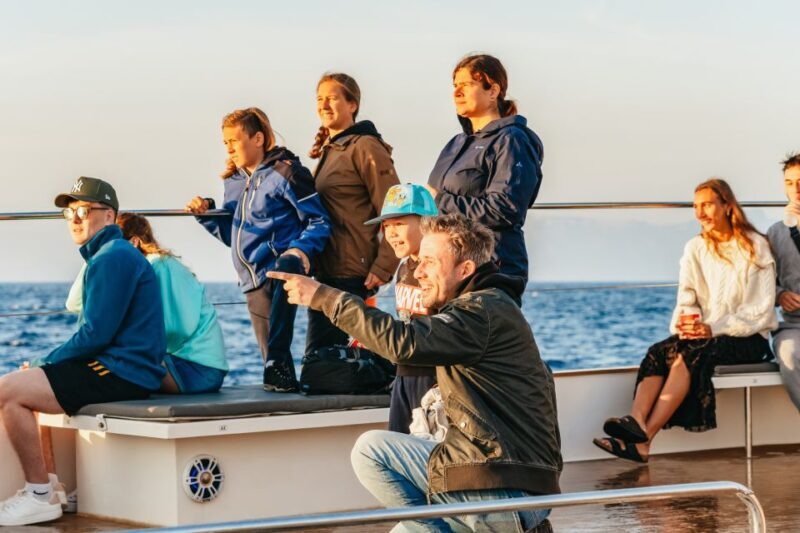 Port d'Alcudia: Sunrise at Sea & Dolphin Watching Boat Tour - Who Will Love This Tour?