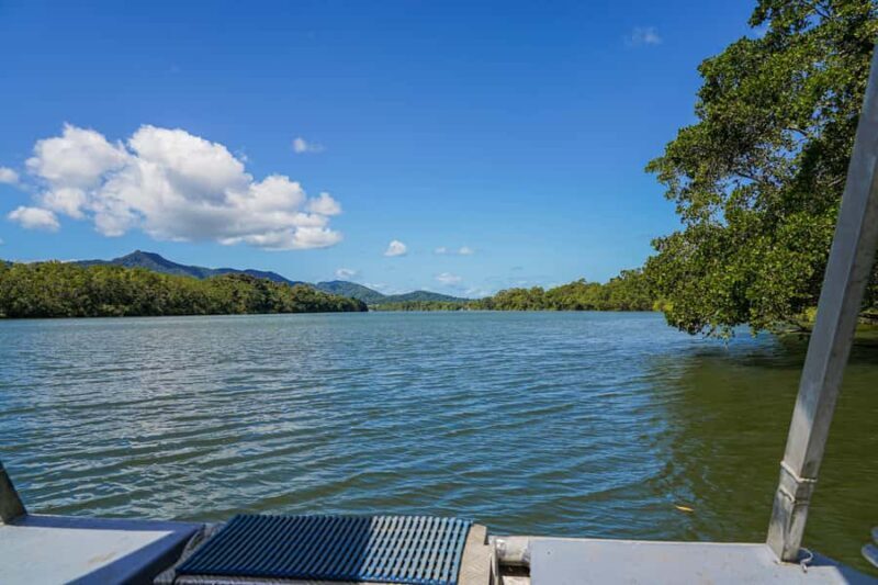 Port Douglas: Afternoon Daintree Tour w/ Wildlife Cruise - Frequently Asked Questions