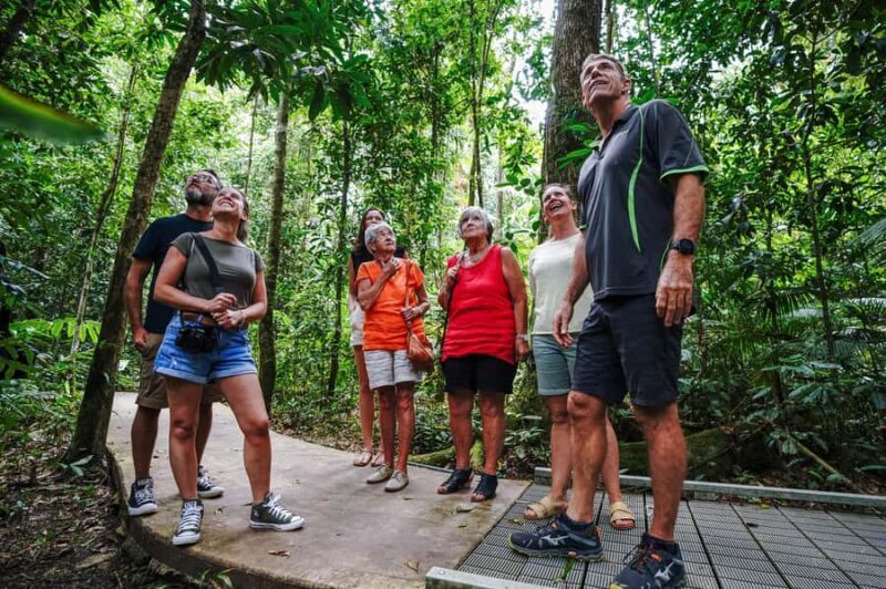 Port Douglas: Best of Daintree Rainforest Day Tour - Pricing & Value
