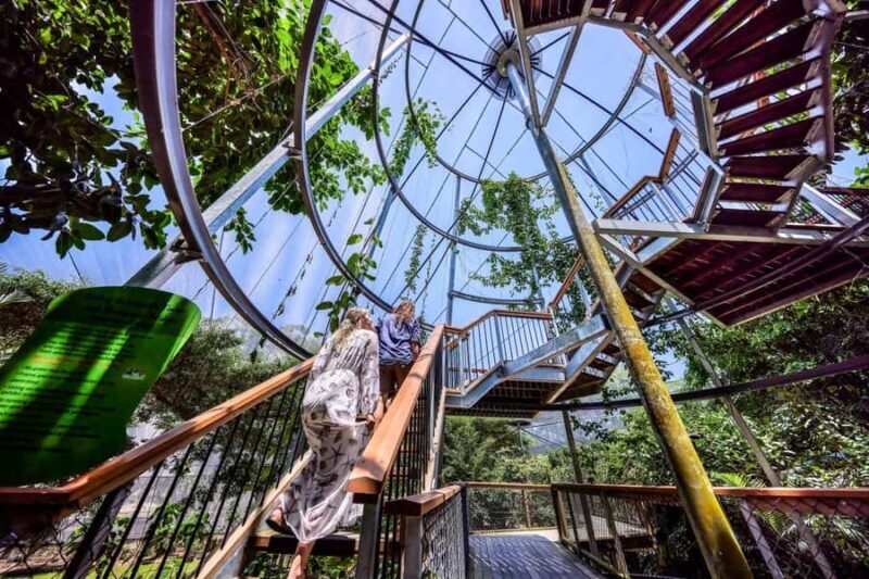 Port Douglas: Breakfast with the Birds - What to Expect from Your Morning at Wildlife Habitat