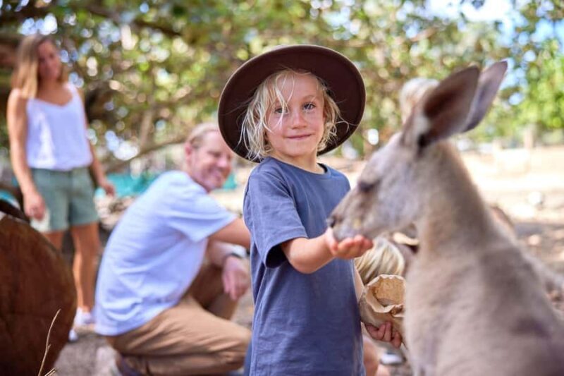Port Douglas: Breakfast with the Birds - Who Should Consider This Experience?