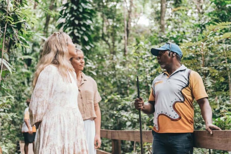 Port Douglas: Daintree Cultural Tour with Hotel Pickup - Authentic Experiences from Reviewers