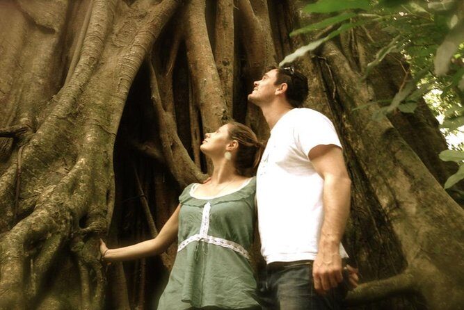 Port Douglas Daintree National Park Boutique Full-Day Tour - FAQ Section