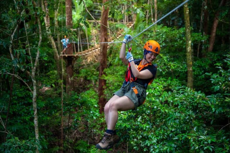 Port Douglas: Daintree National Park Tour, Cruise, & Zipline - Key Points