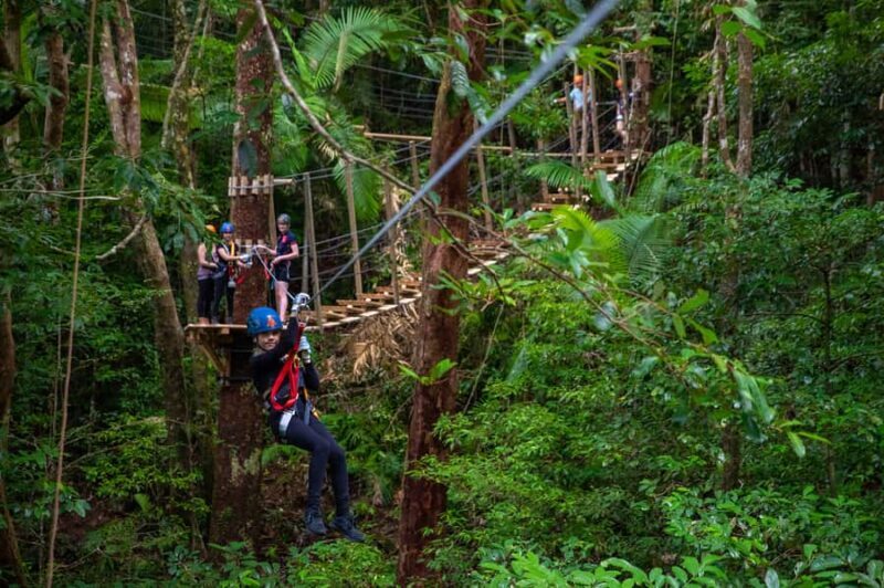 Port Douglas: Daintree National Park Tour, Cruise, & Zipline - The Experience in Detail