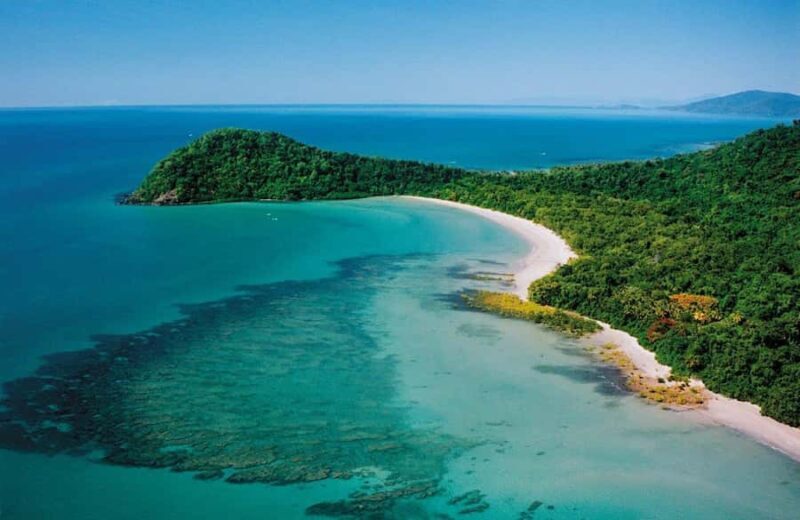 Port Douglas: Daintree Rainforest and Mossman Gorge Tour - Exploring the Daintree Rainforest from Port Douglas