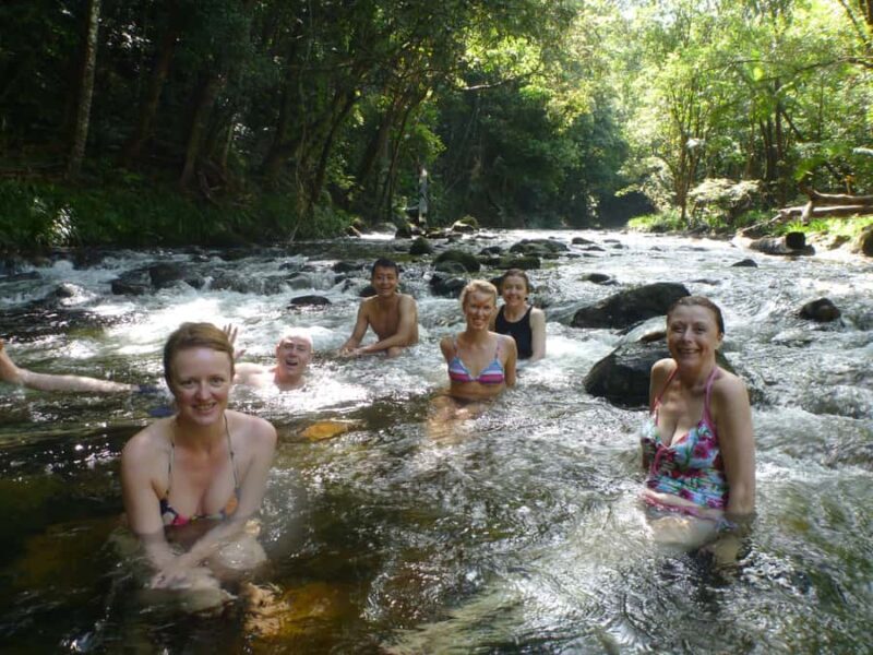 Port Douglas: Daintree Rainforest and Mossman Gorge Tour - Final Thoughts