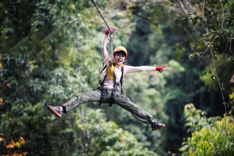 Port Douglas: Daintree Rainforest Canopy Ziplining Tour - The Sum Up