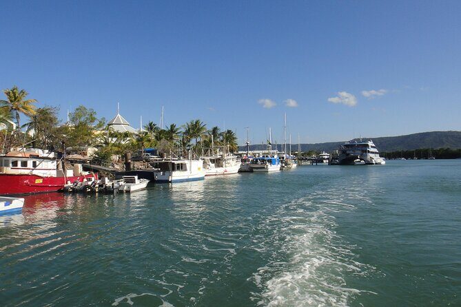 Port Douglas Day Tour from Cairns - Introduction