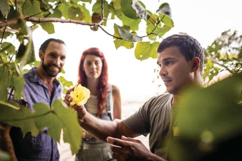 Port Douglas: Full Day Daintree Cultural Tour with Lunch - Authenticity and Guide Experience