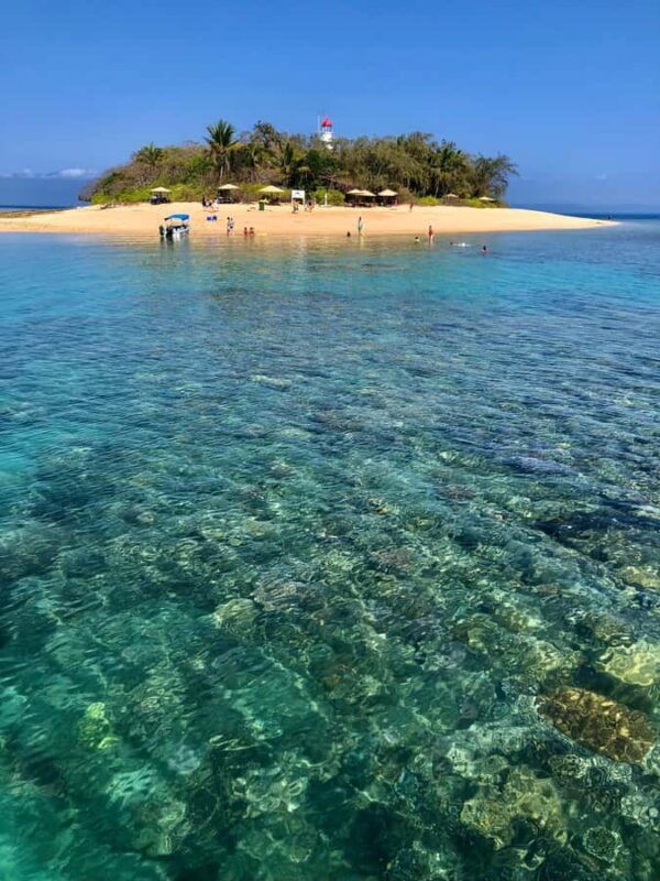 Port Douglas: Half-Day Low Island and Lagoon Snorkeling Tour - Real Traveler Insights