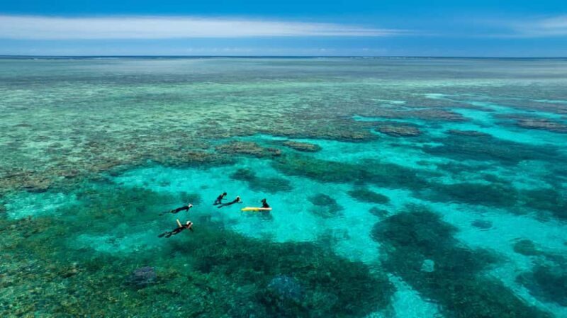 Port Douglas: Just 12 Passengers Guided Snorkel Reef Cruise - Key Points