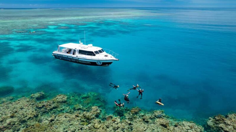 Port Douglas: Just 12 Passengers Guided Snorkel Reef Cruise - What Makes This Tour Stand Out