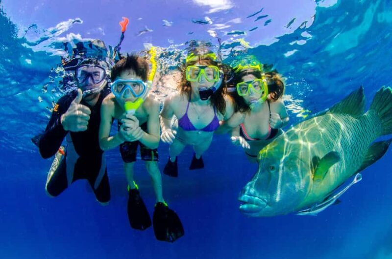 Port Douglas: Just 12 Passengers Guided Snorkel Reef Cruise - FAQs