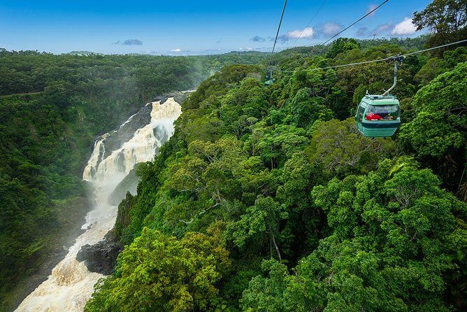 Port Douglas: Kuranda tour with Skyrail or Scenic Train - The Experience: What Travelers Say