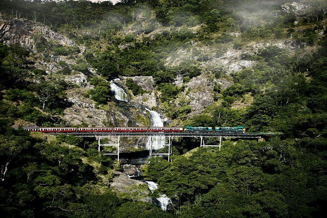 Port Douglas: Kuranda tour with Skyrail or Scenic Train - Is This Tour Worth It?