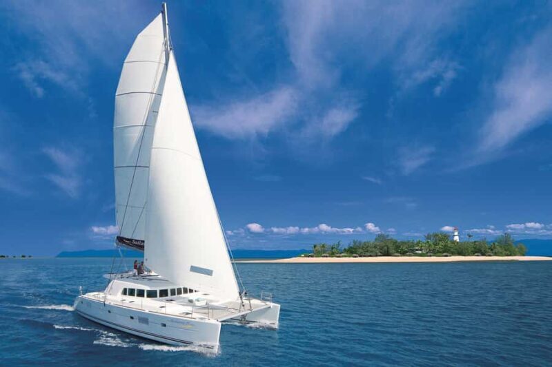Port Douglas: Low Isles Afternoon Cruise on Luxury Catamaran - Authentic Experiences and Real Feedback