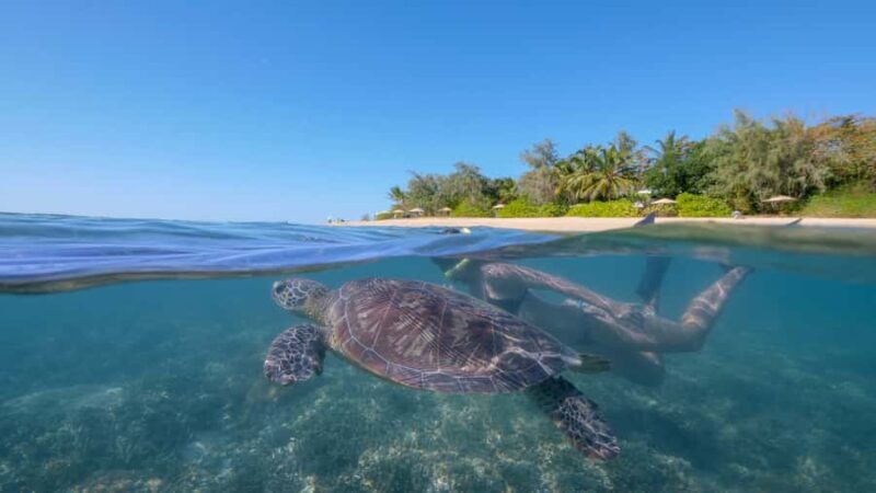 Port Douglas: Low Isles Glass Bottom Boat & Snorkeling Tour - Authentic Experiences and Real Reviews