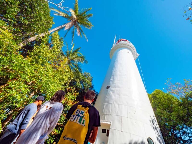 Port Douglas: Low Isles Glass Bottom Boat & Snorkeling Tour - Who Would Love This Tour?