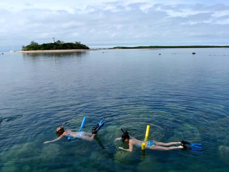 Port Douglas: Low Isles Reef Snorkeling Tour - The Sum Up