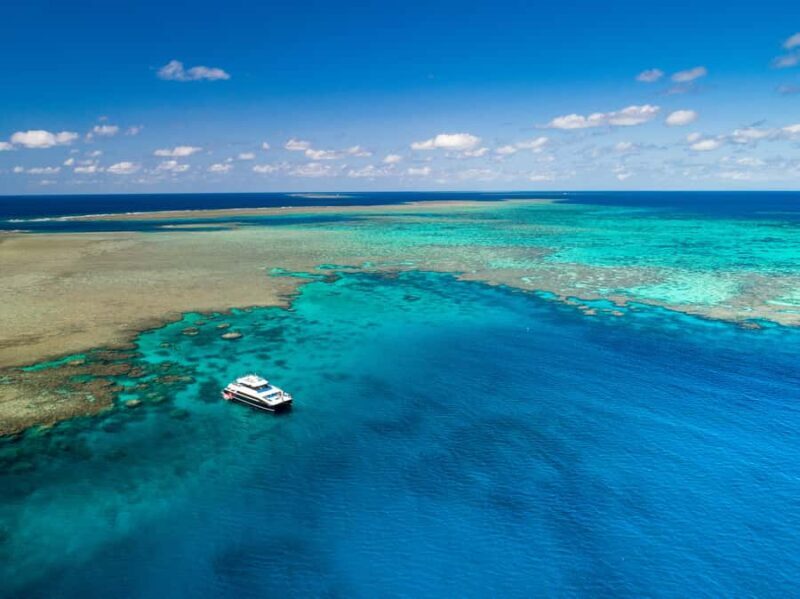 Port Douglas: Outer Barrier Reef Snorkel and Dive Options - What Sets This Tour Apart?