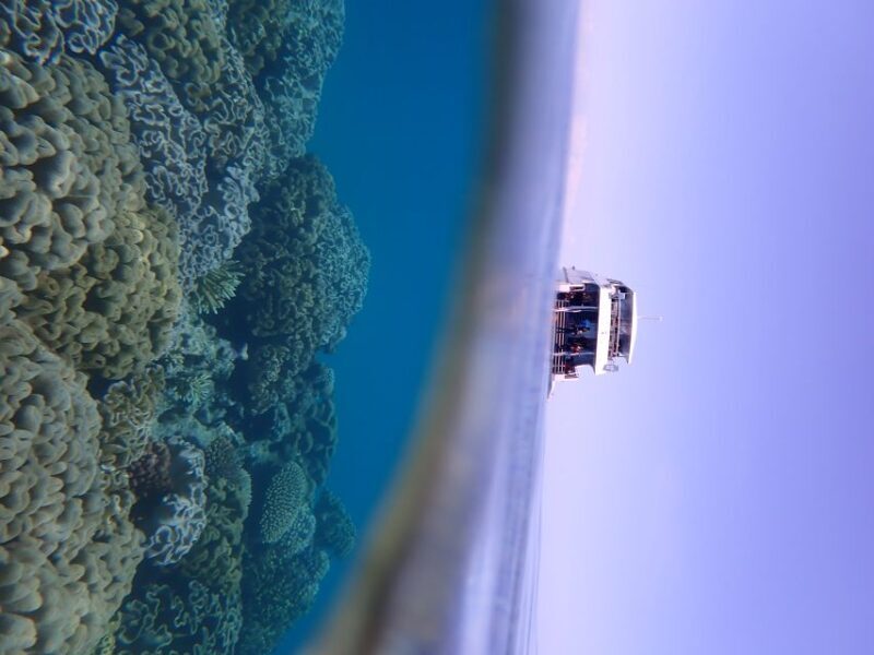 Port Douglas: Outer Great Barrier Reef Snorkeling Cruise - The Sum Up